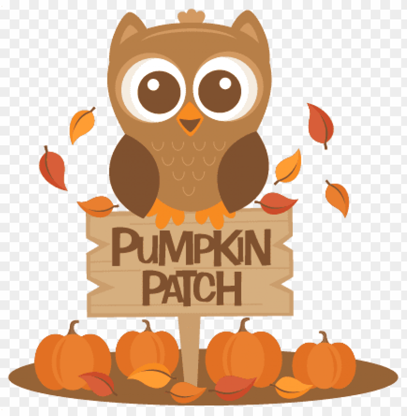 Free download | HD PNG cute pumpkin patch PNG transparent with Clear ...