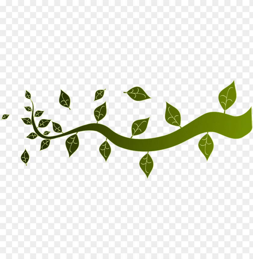 Free download | HD PNG dahan pohon PNG transparent with Clear ...