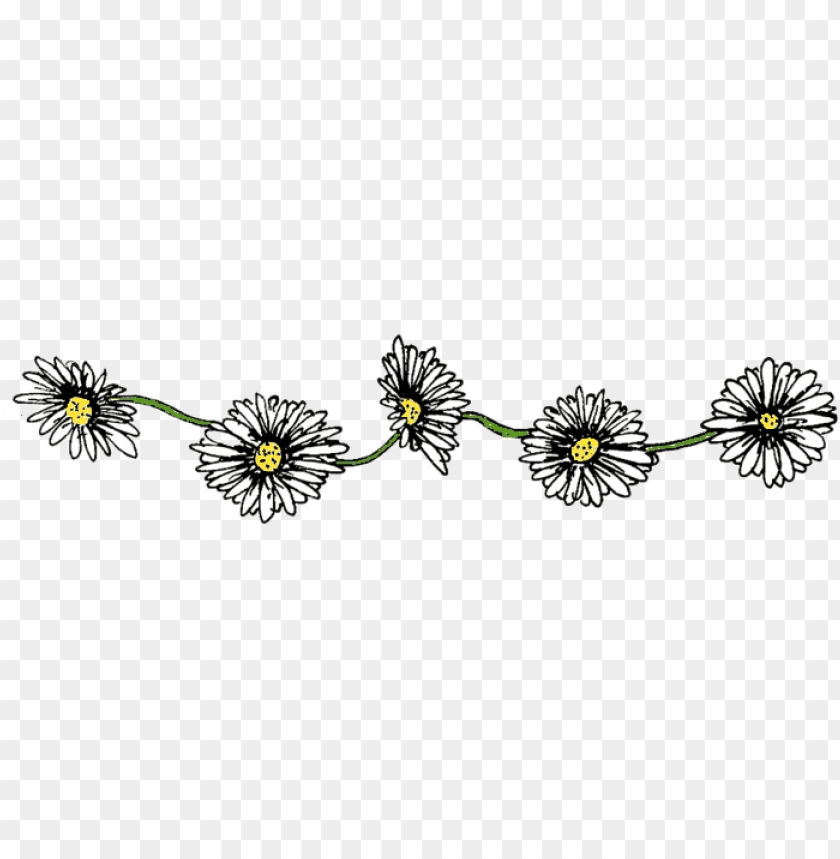 Free download | HD PNG daisy chain flower chain PNG transparent with ...