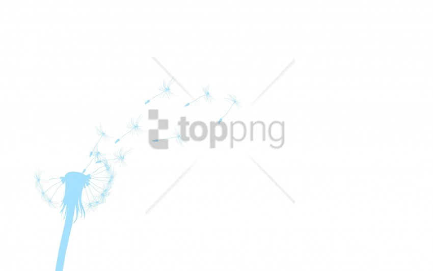 Free download | HD PNG dandelion plants stalk wallpaper background best ...