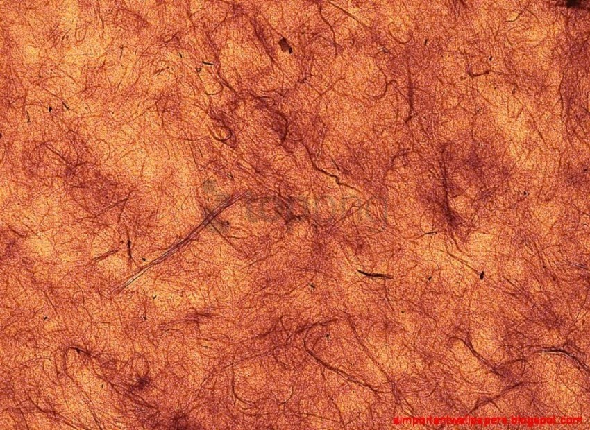 Free download | HD PNG dark gold textured background background best ...