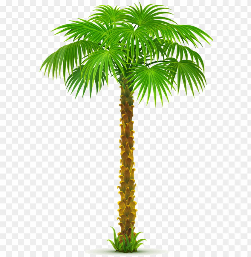 Free download | HD PNG date tree PNG transparent with Clear Background ...