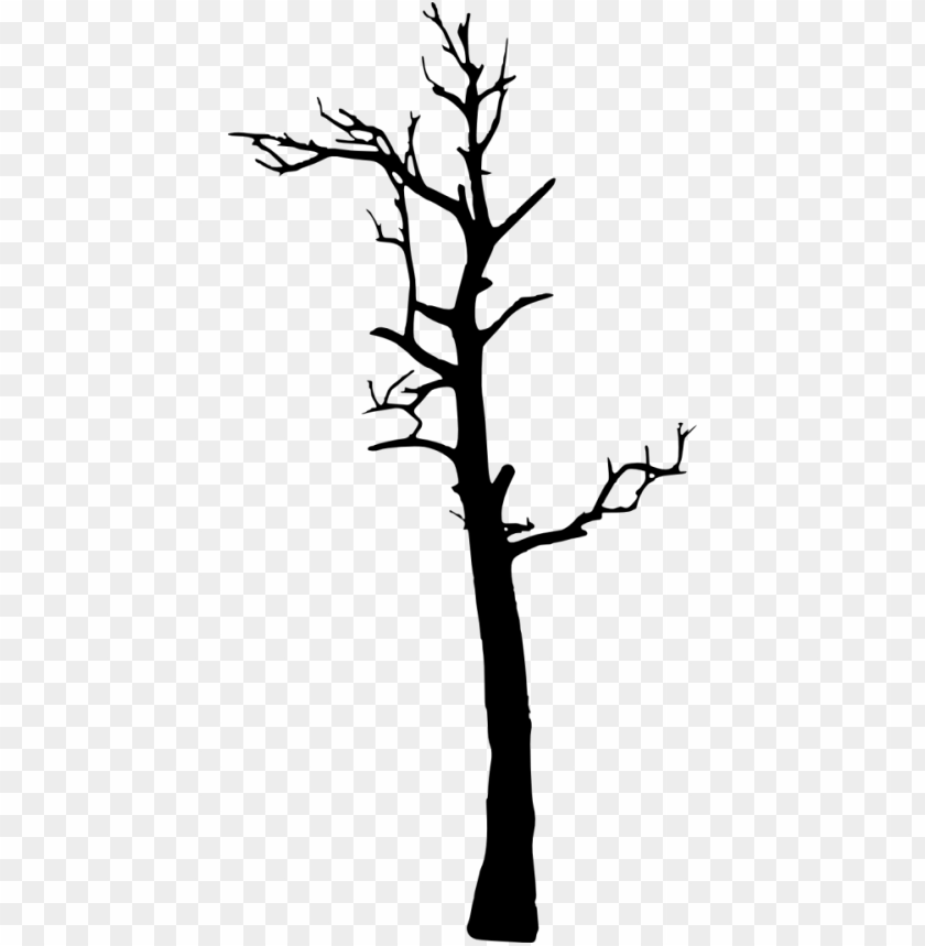 Free download | HD PNG Transparent silhouette of a leafless tree with ...