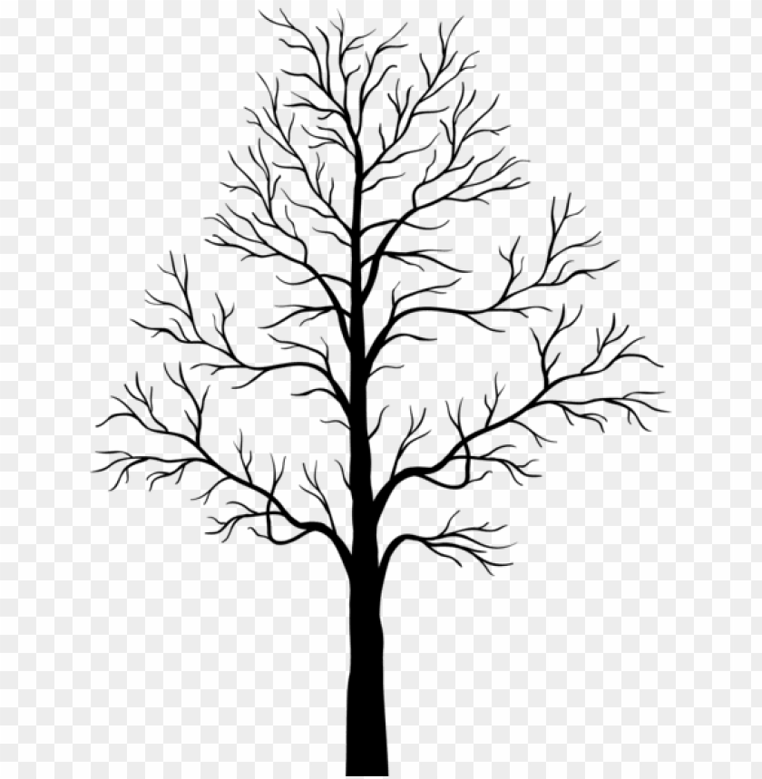 Top Tree PNG & clipart images - Page 2 | TOPpng