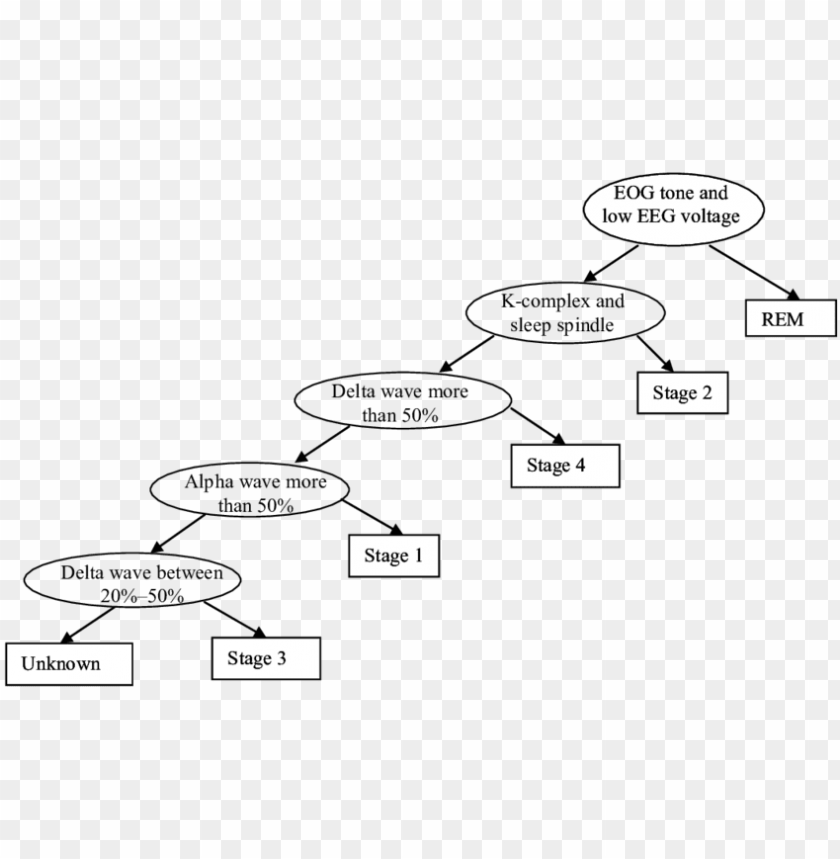 Free download | HD PNG decision tree generated from the rules given by ...