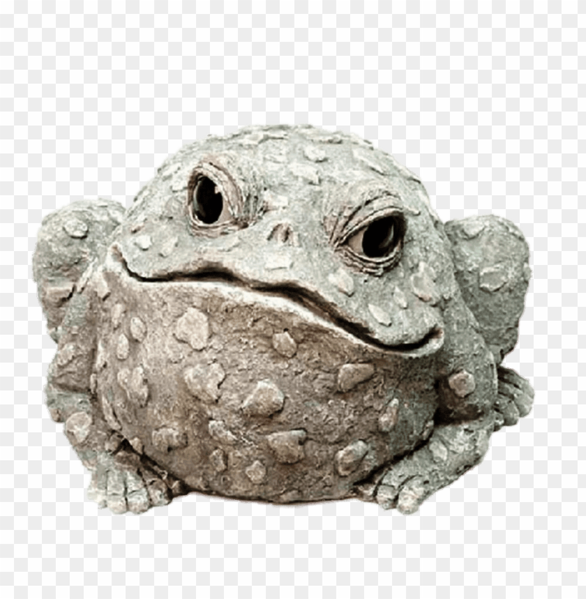 Free download | HD PNG decorative garden toad | TOPpng