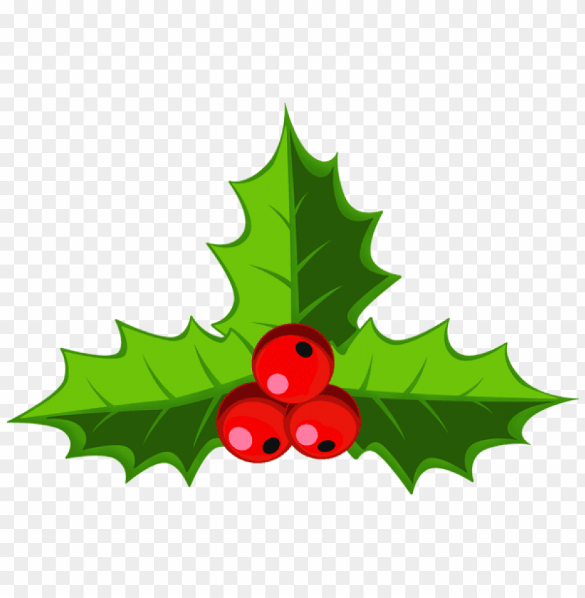 Free download | HD PNG decorative holly PNG Images 40993 | TOPpng