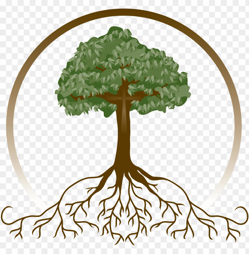 Free download | HD PNG deeply rooted faith tree sunday school crafts ...