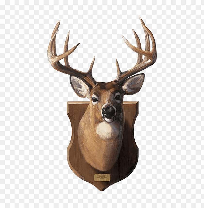 Free download | HD PNG deer png PNG transparent with Clear Background ...