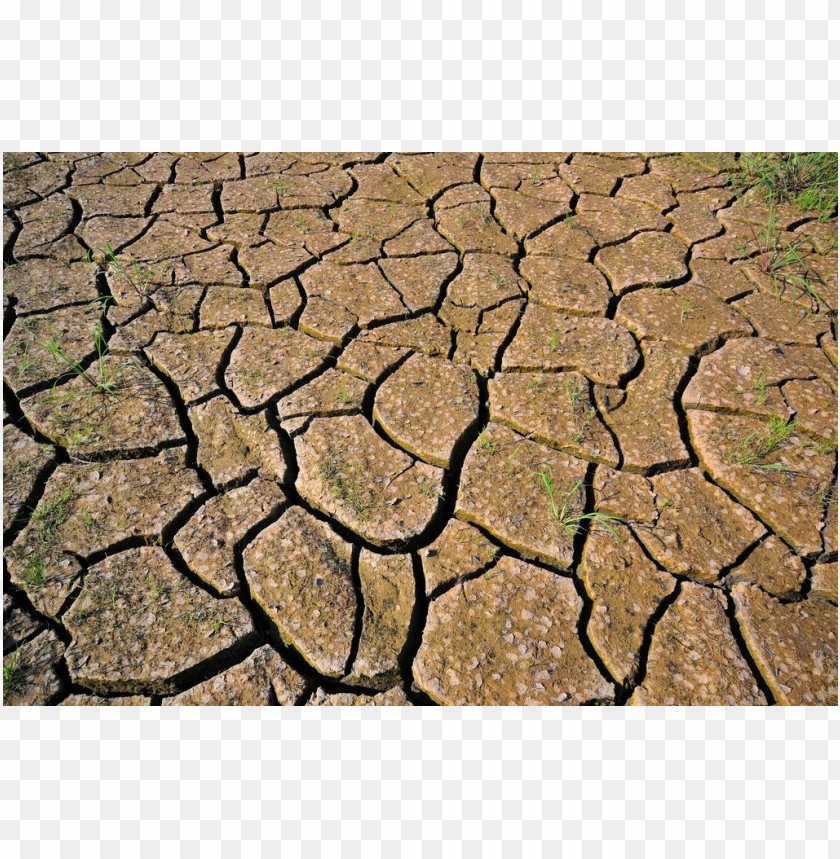 Ground Patterns cutout PNG & clipart images | TOPpng