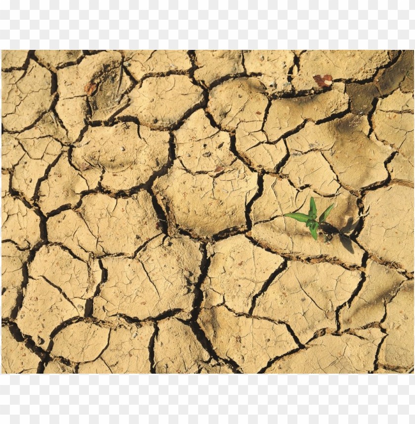 Free download | HD PNG desertification day PNG transparent with Clear ...