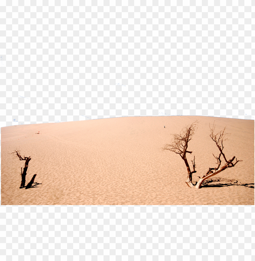 Free download | HD PNG desertification day PNG transparent with Clear ...