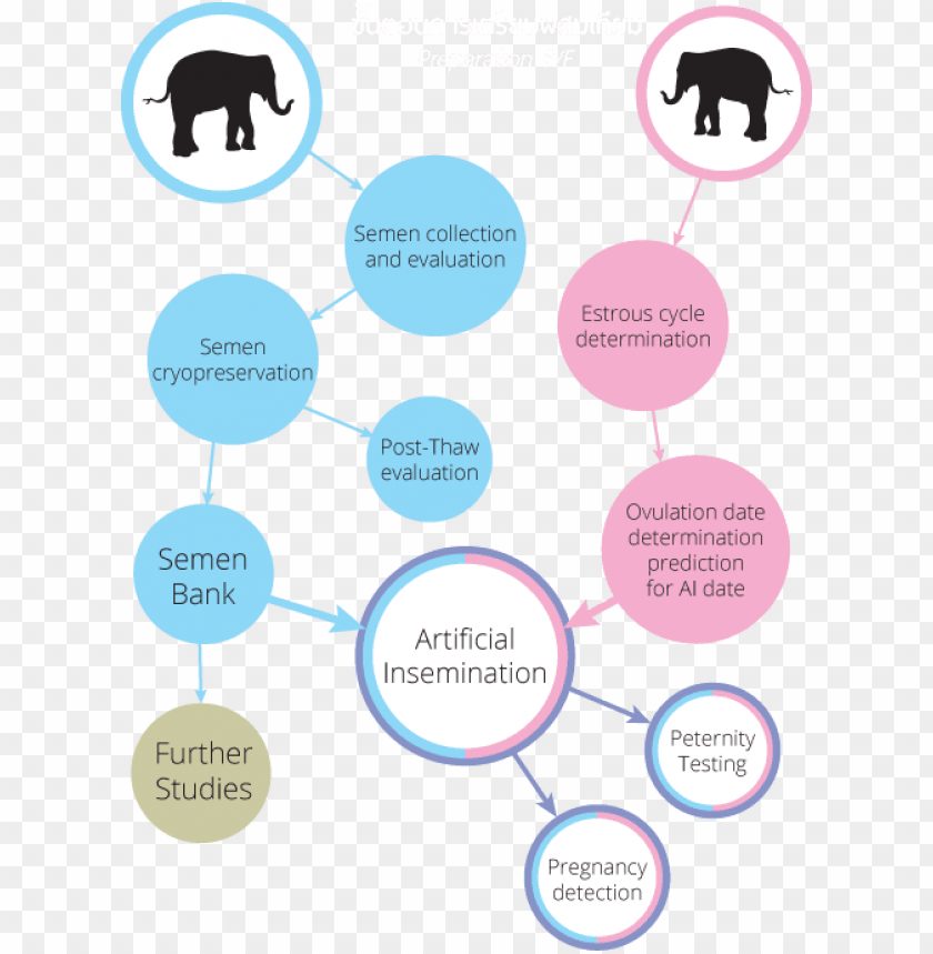 Free download | HD PNG diagram PNG transparent with Clear Background ID ...