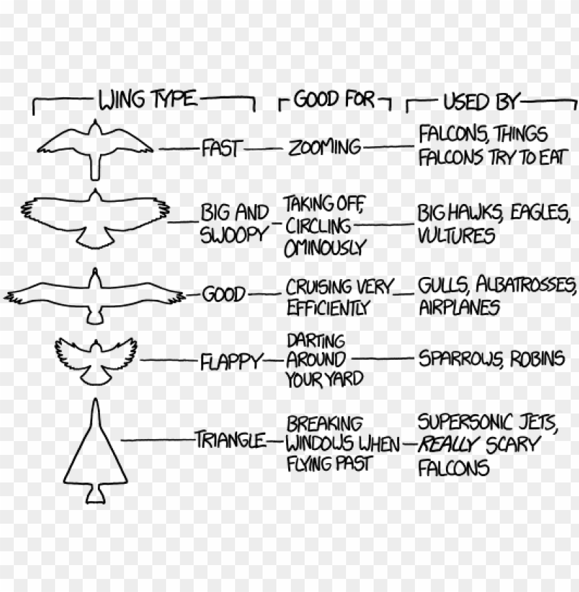 Free download | HD PNG different bird wing types PNG transparent with ...