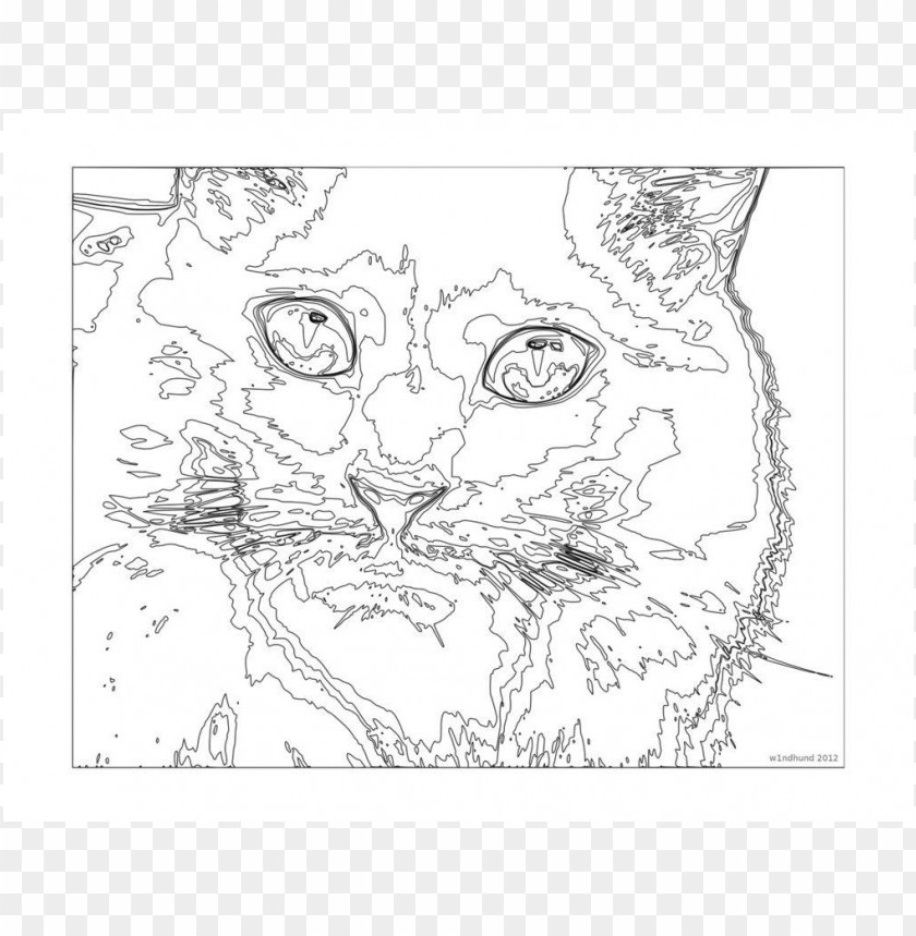 Free download | HD PNG difficult color by number coloring pages PNG ...