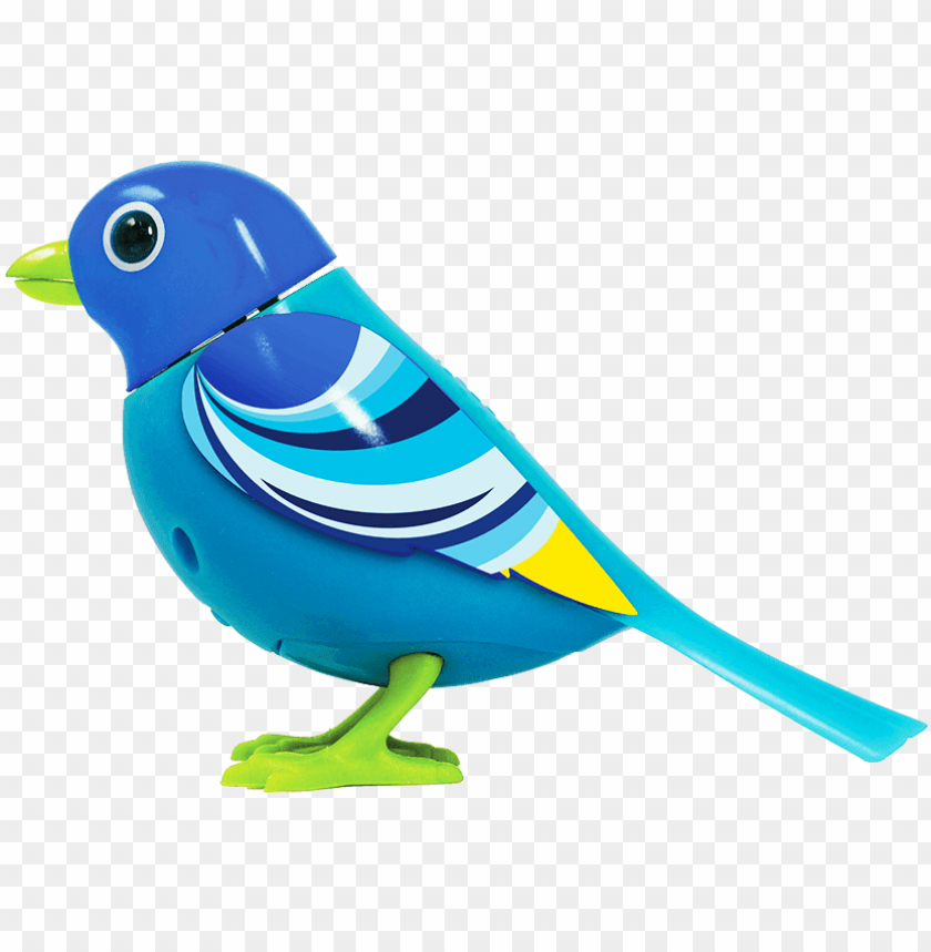 Free download | HD PNG digi birds madár PNG transparent with Clear ...