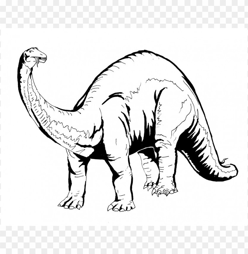 Free download | HD PNG dinosaur color coloring pages PNG transparent ...