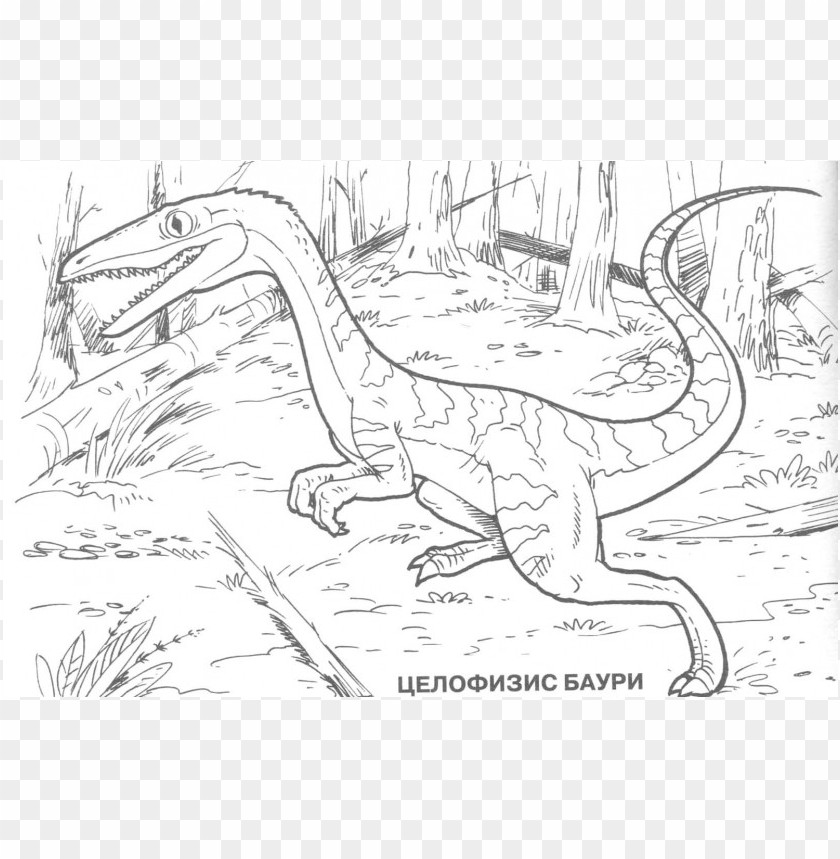 Free download | HD PNG dinosaur color coloring pages PNG transparent ...