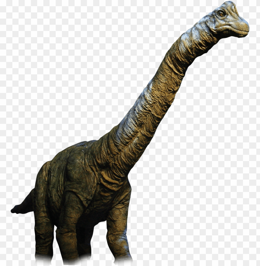Free download | HD PNG dinosaur png s | TOPpng