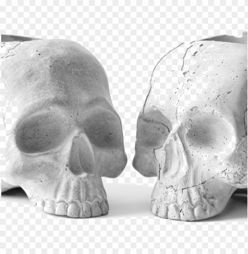 Free download | HD PNG diy concrete skulls stock photography PNG ...