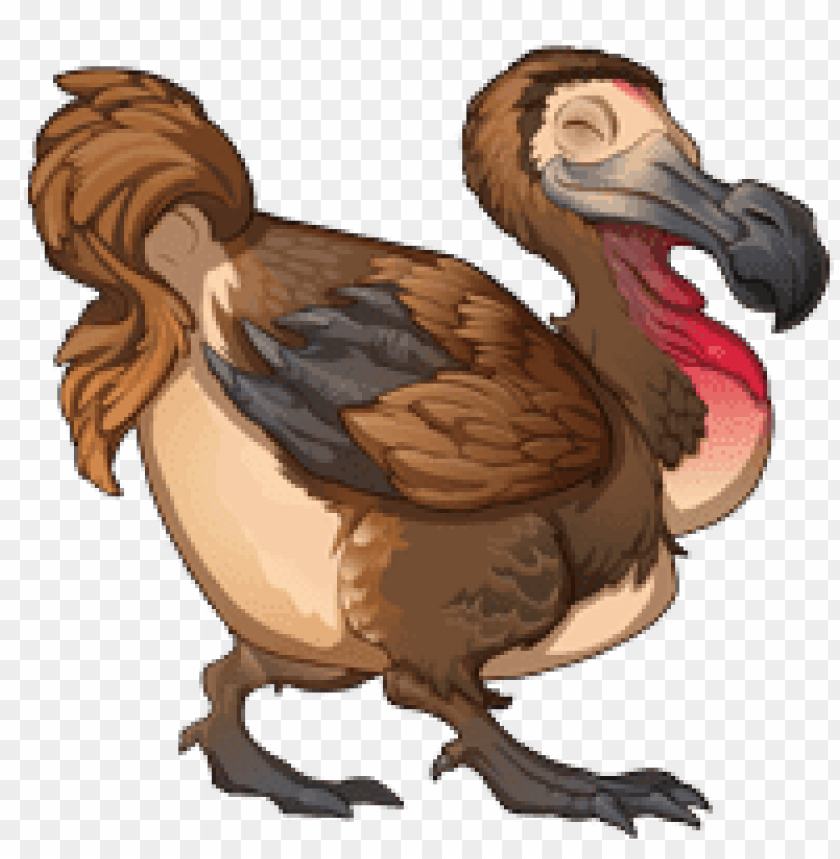 Free download | HD PNG dodo illustration | TOPpng