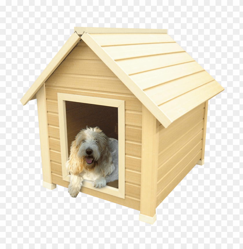 Free download | HD PNG small dog sitting inside wooden doghouse png ...
