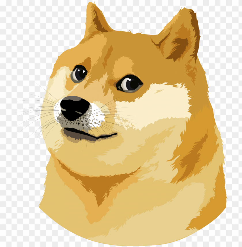 Free download | HD PNG doge vector illustration PNG transparent with ...