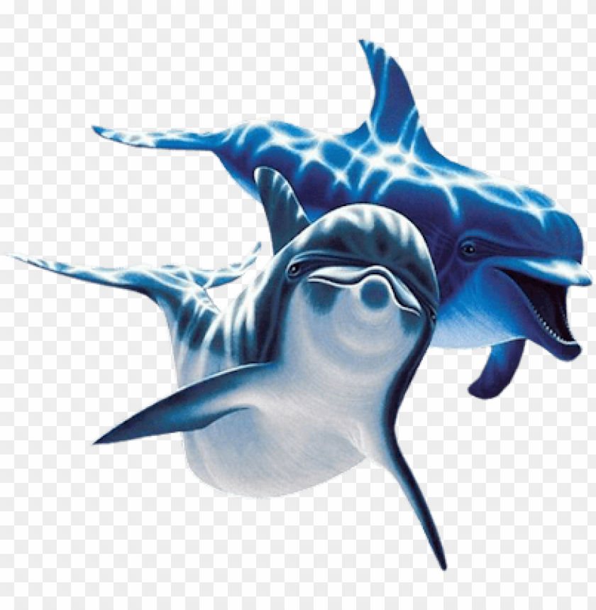 Free download | HD PNG cartoon dolphin swimming with blue fins playful ...