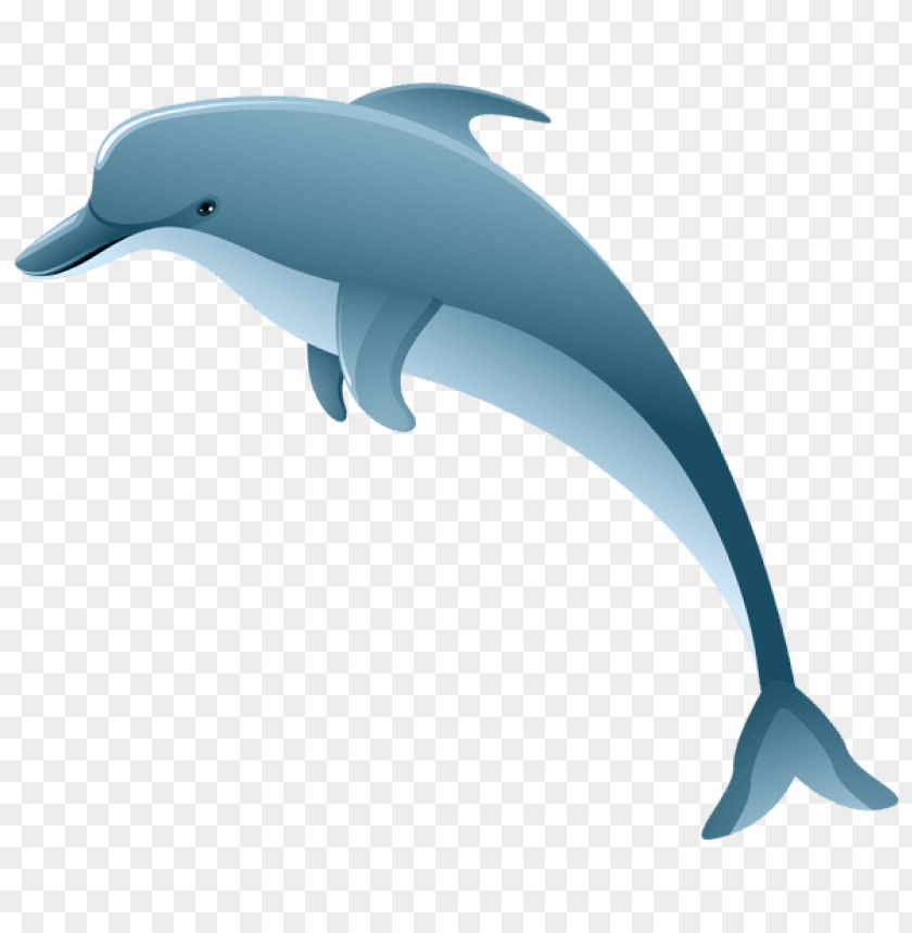 Free download | HD PNG dolphin clipart png photo - 54226 | TOPpng