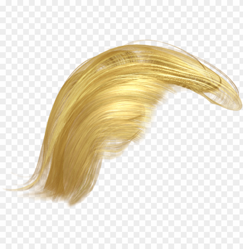Free download | HD PNG donald trump hair transparent PNG transparent ...