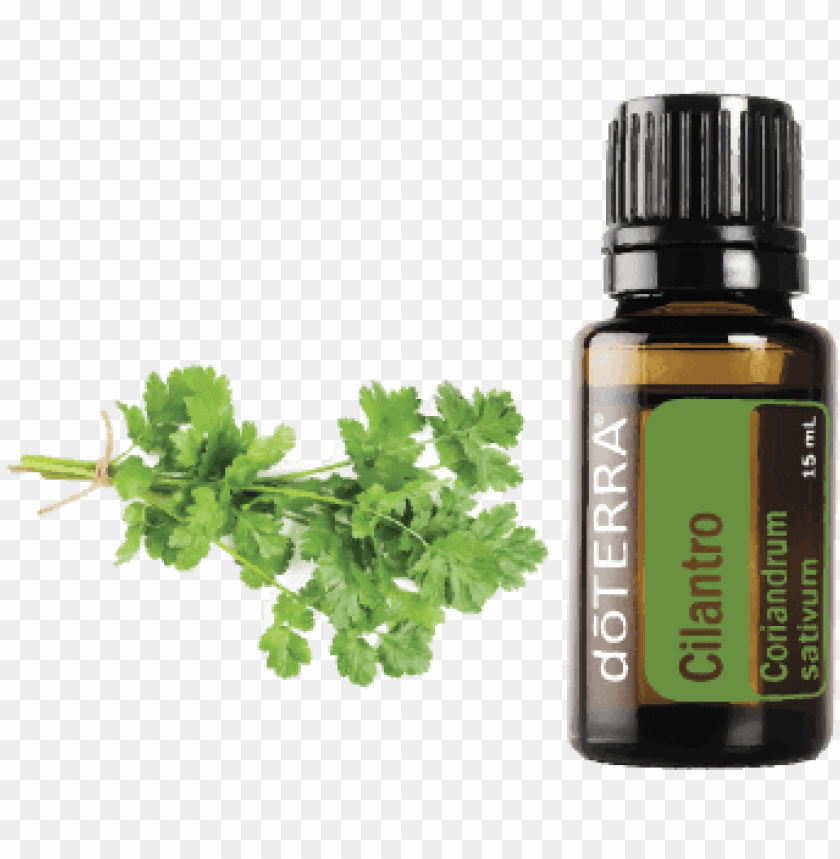 Free download | HD PNG doterra tea tree uses PNG transparent with Clear ...