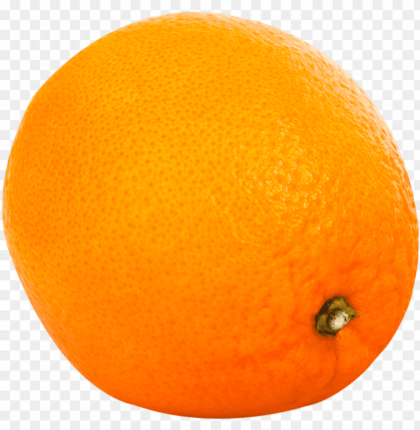 Free download | HD PNG download orange fruit png image citrus orange ...
