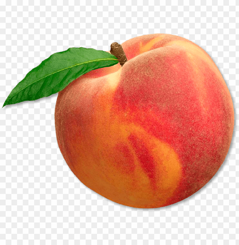 Free download | HD PNG download peach PNG transparent with Clear ...