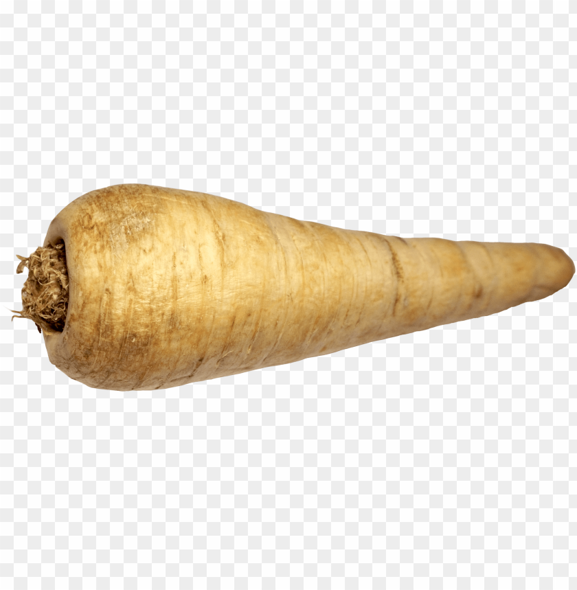 Free download | HD PNG download png parsnip PNG transparent with Clear ...