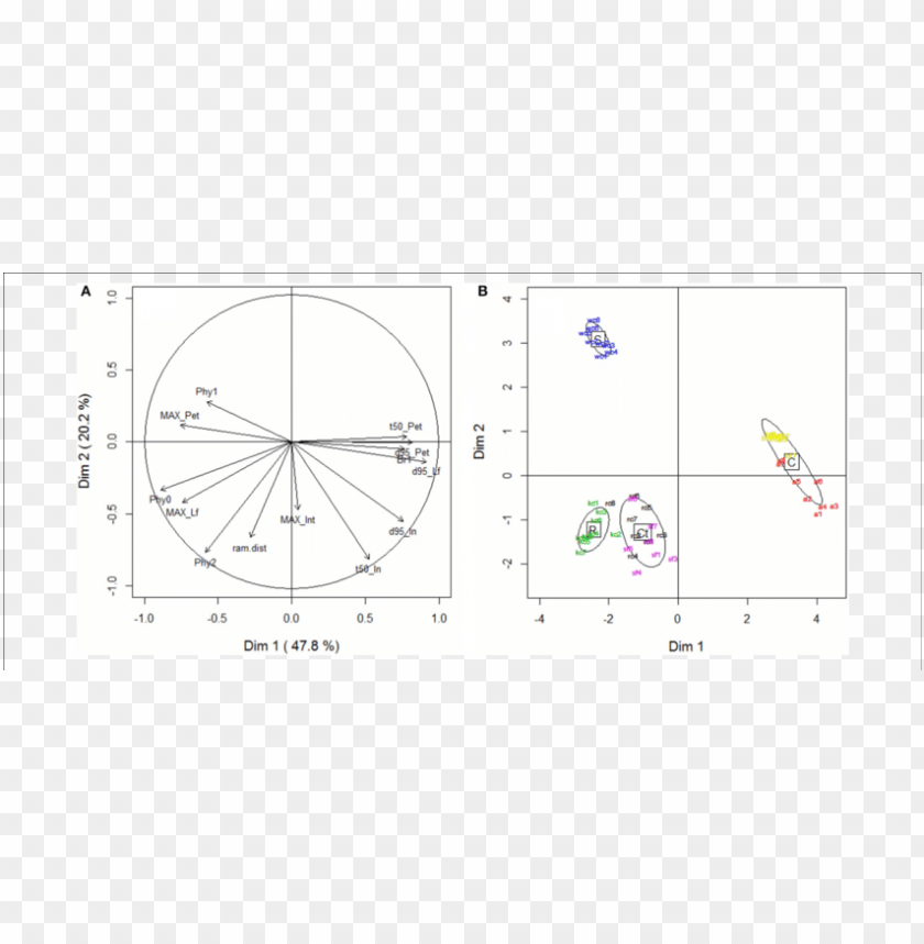 Free download | HD PNG download variable PNG transparent with Clear ...