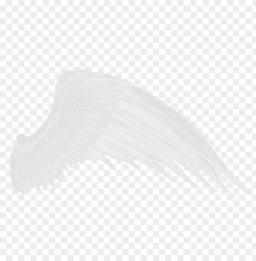 Free download | HD PNG download white wings transparent background PNG ...