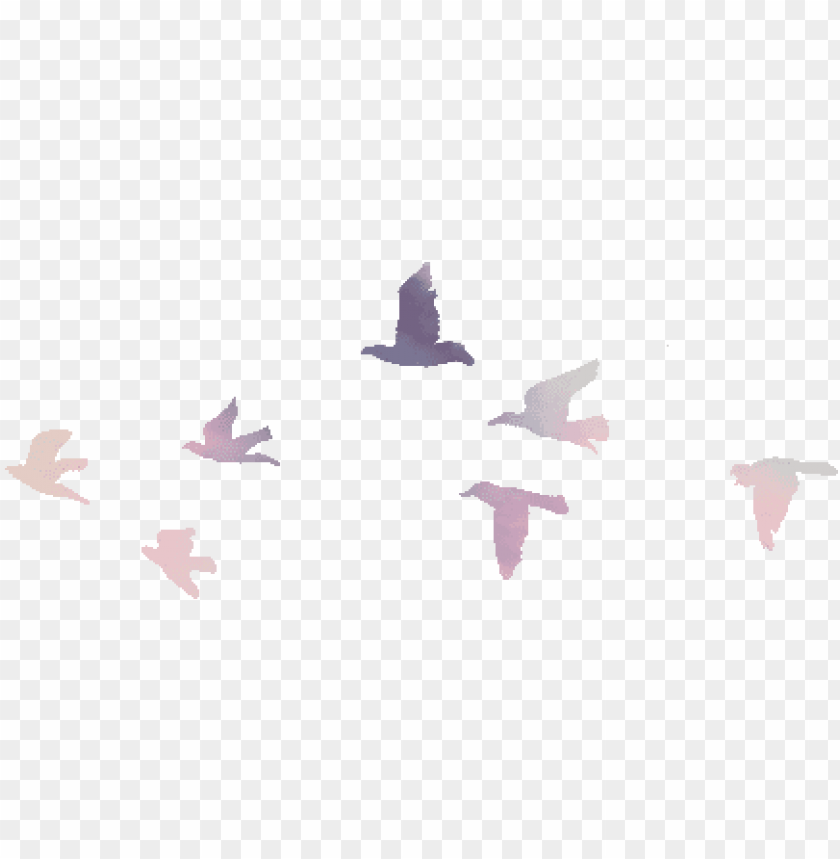 Free download | HD PNG draw a far away bird PNG transparent with Clear ...