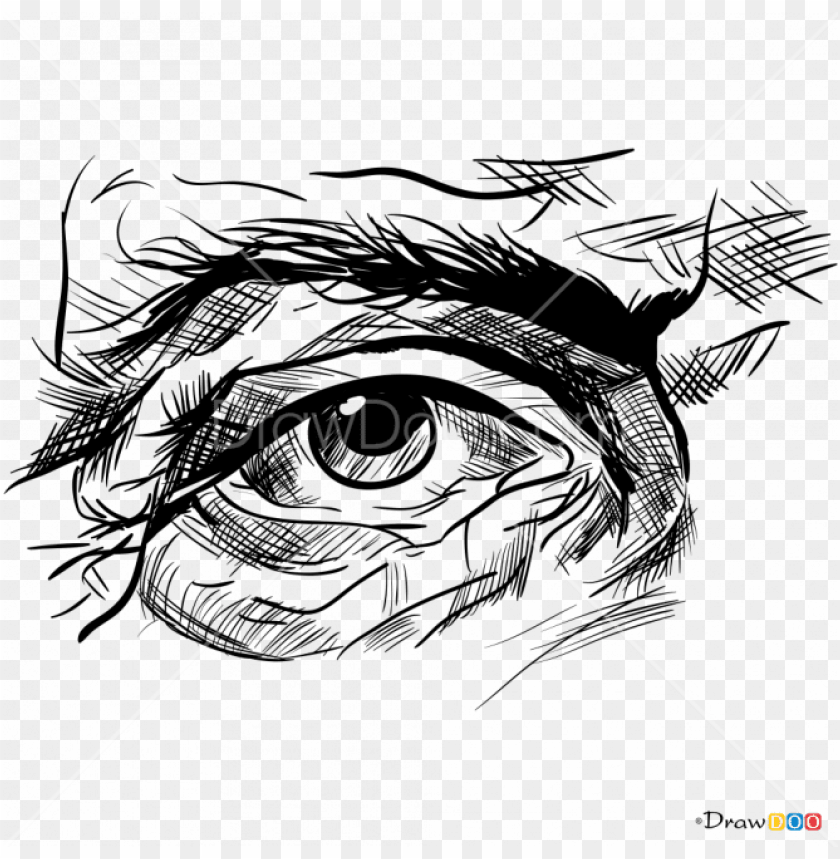 Free download | HD PNG drawing PNG transparent with Clear Background ID ...