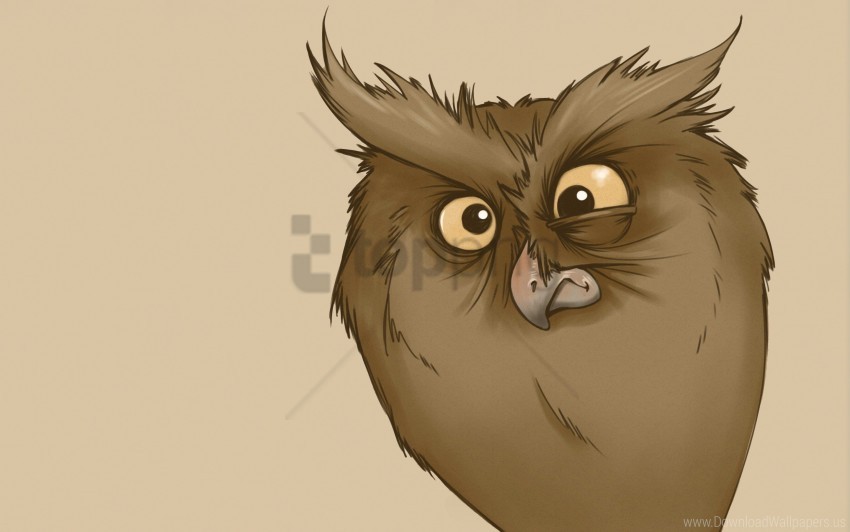 Angry Owl Eyes Drawing
