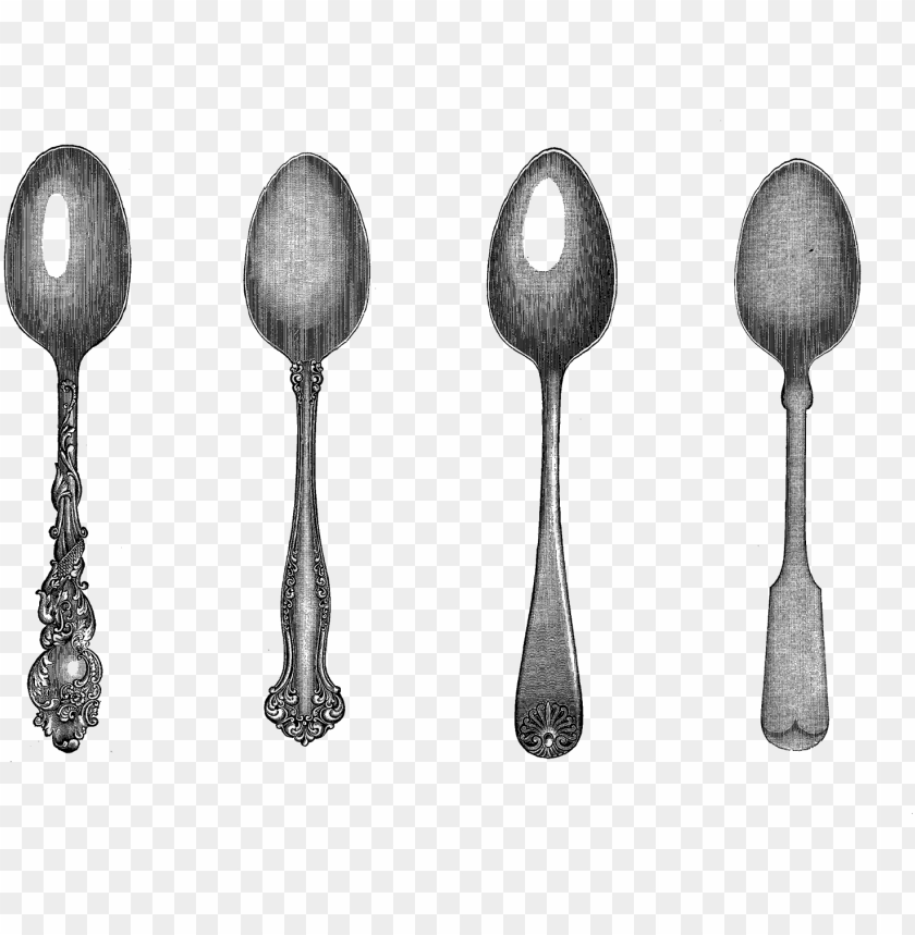Free download | HD PNG drawn spoon teaspoon vintage spoon illustration ...