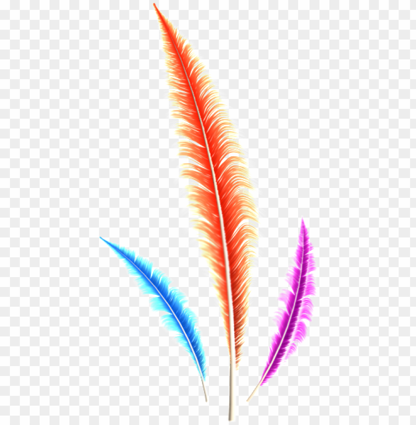Free download | HD PNG dream feather png illustratio PNG transparent with Clear Background ID ...