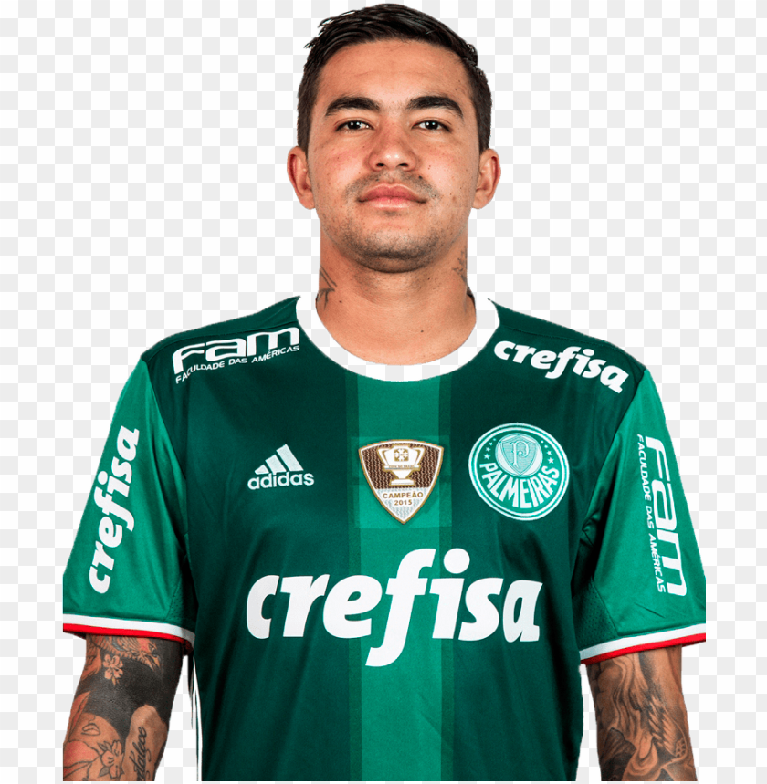 Free download | HD PNG dudu png palmeiras 2018 PNG transparent with ...