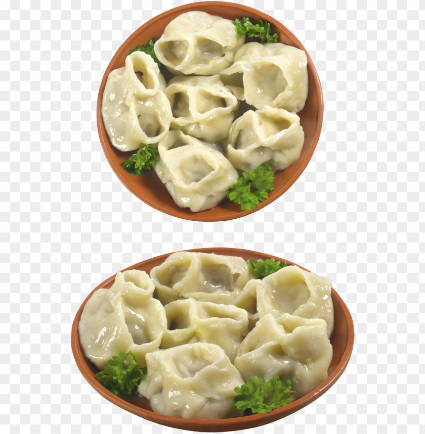 Free download | HD PNG dumplings with visible filling served in broth ...