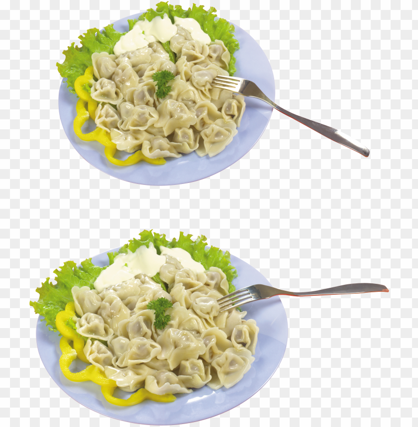 Free download | HD PNG boiled dumplings arranged on a white plate ...