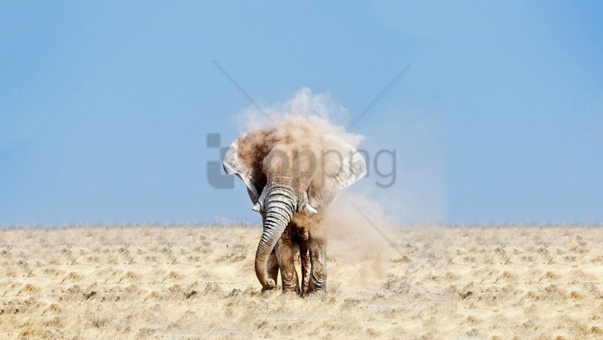 Free download | HD PNG dust elephant sand sky wallpaper background best ...