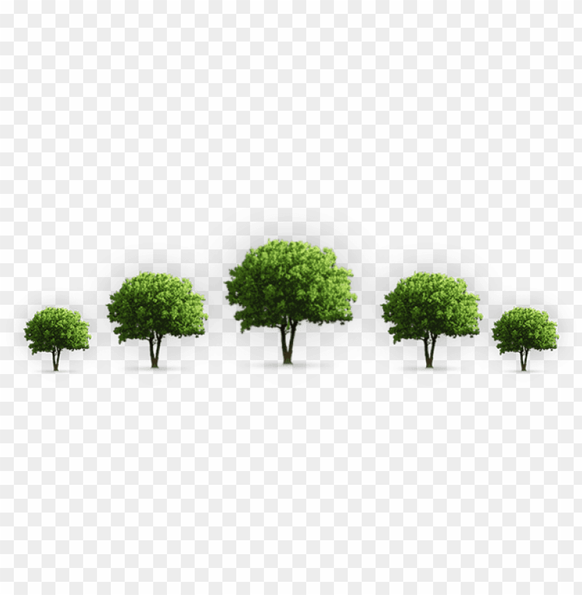 Free download | HD PNG each one plant one tree essay plant a tree PNG ...