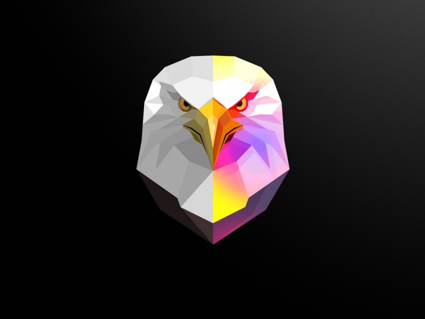 Free download | HD PNG eagle bird art polygon geometric 4k wallpaper ...