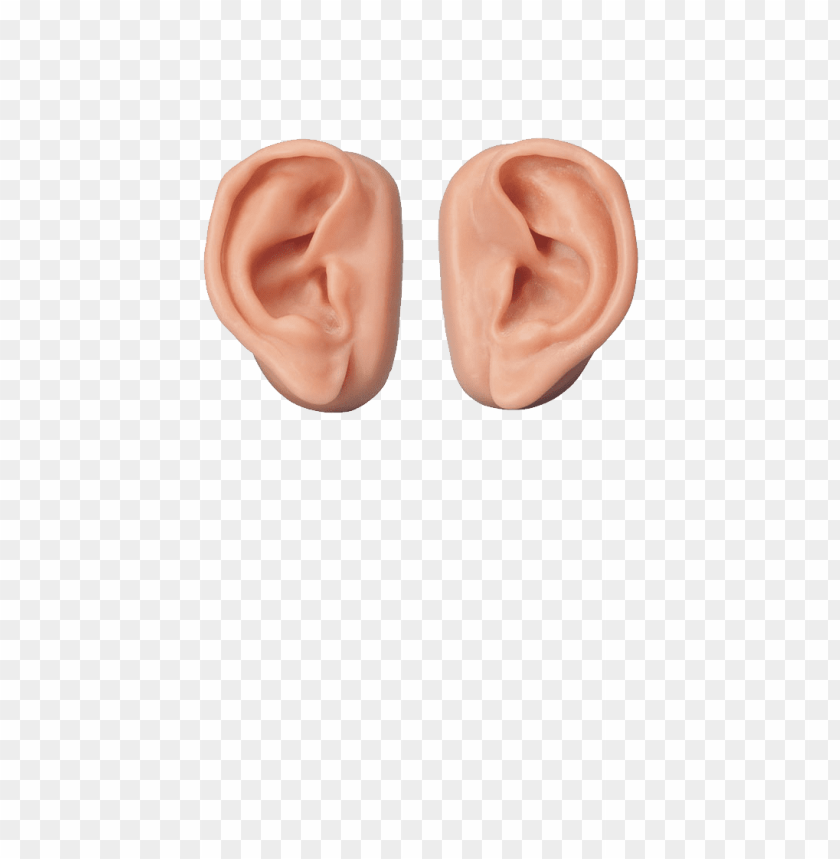 Free download | HD PNG Transparent background PNG image of ear - Image ...