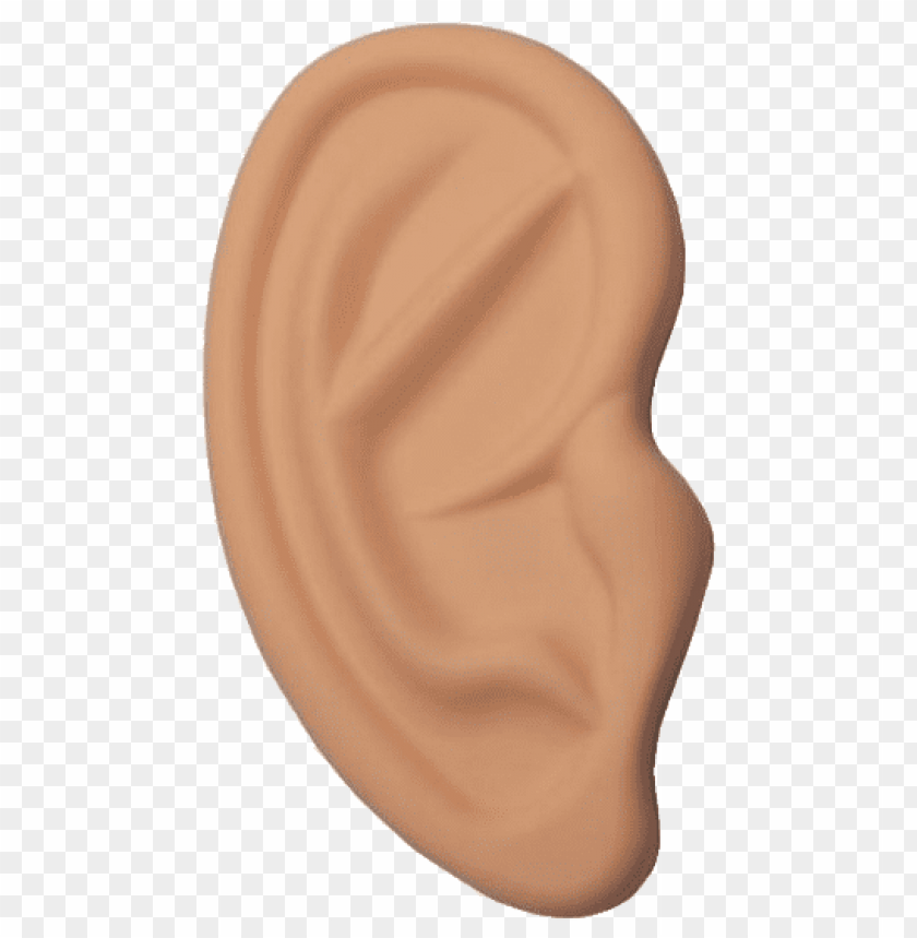 Free download | HD PNG Transparent background PNG image of ear - Image ...
