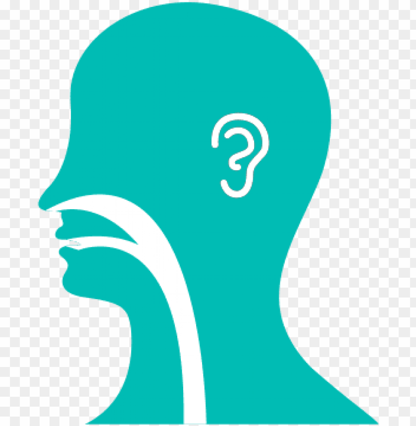 Free download | HD PNG ear nose throat illustration ear nose and throat ...
